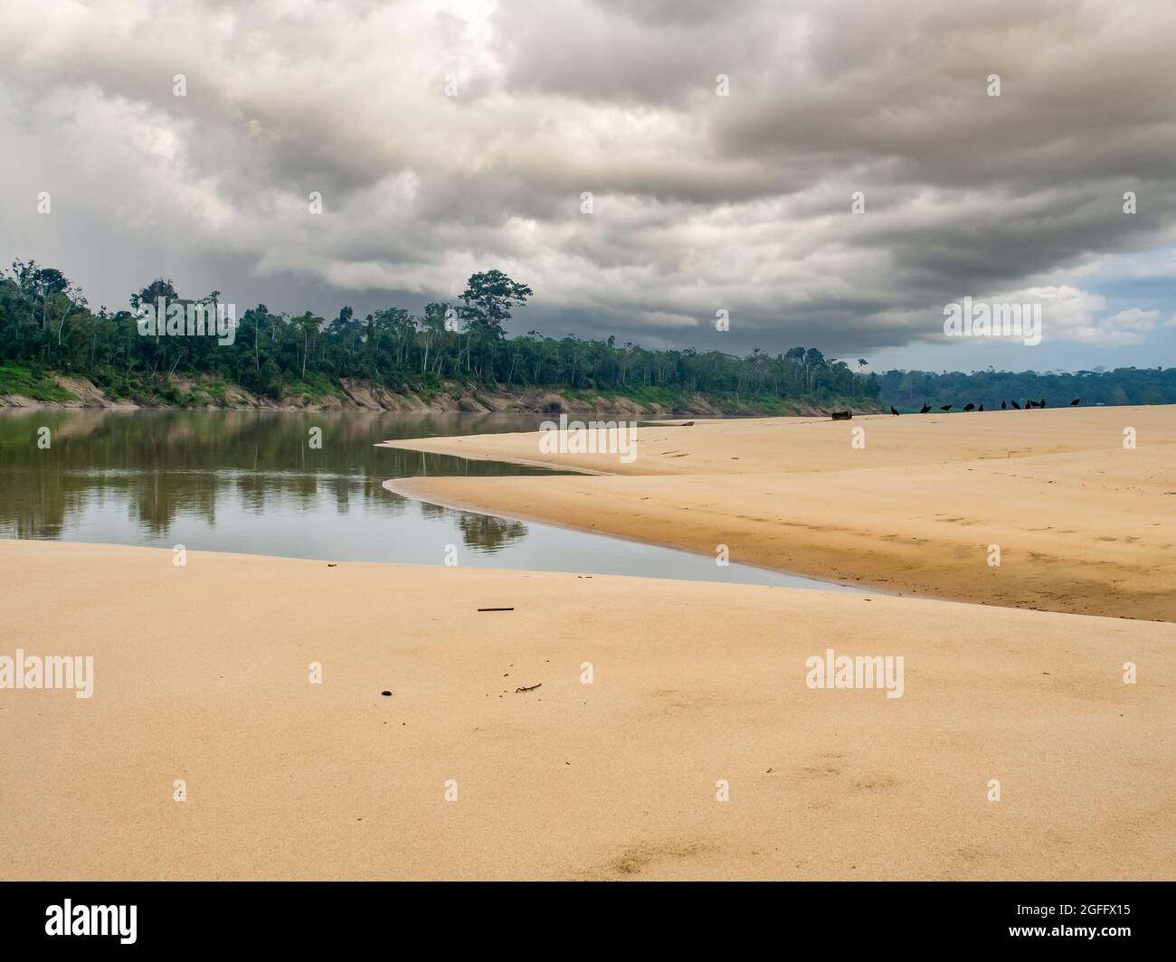 Sandy Amazon beach durinh low water season. Amazonia. Latin America ...