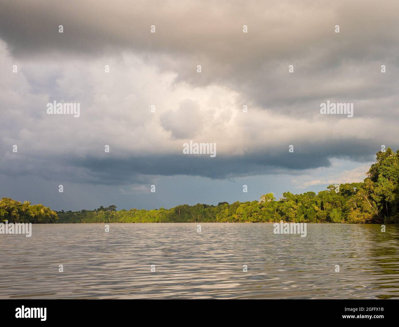 View of Coati Lagoon near the Javari River, the tributary of the Amazon ...