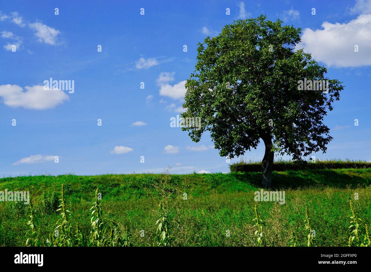 Lone planet hi-res stock photography and images - Alamy