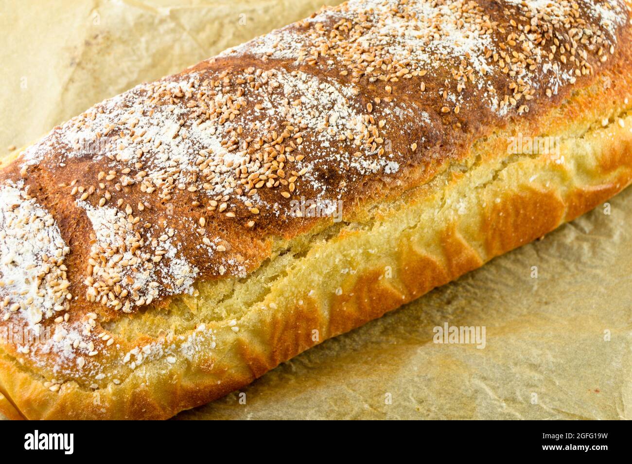 Fresh baked nutritious and golden colored bread homemade, isolated on ...