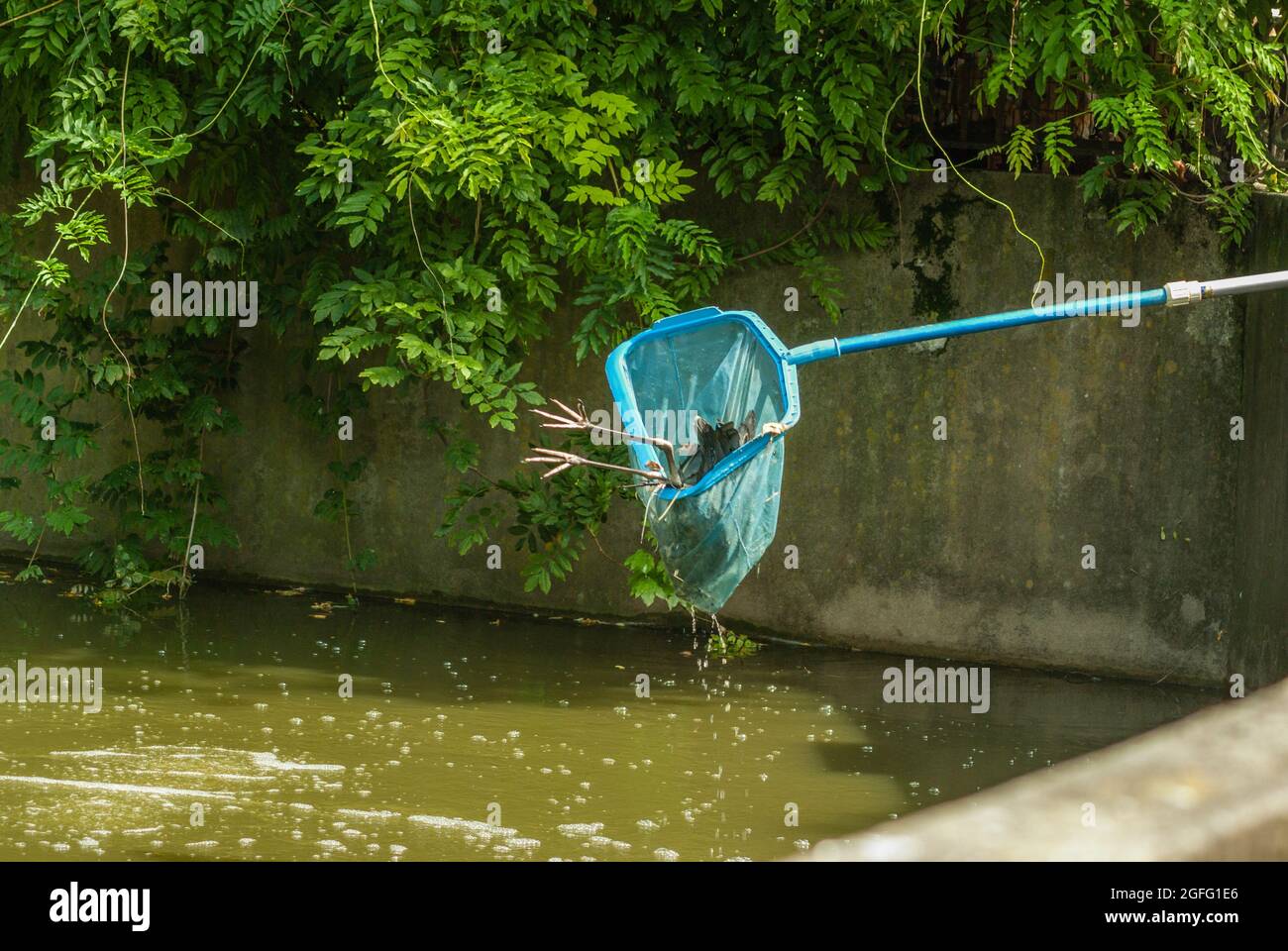 Scoop net hi-res stock photography and images - Alamy