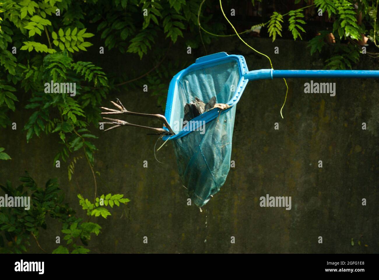 Scoop net hi-res stock photography and images - Alamy