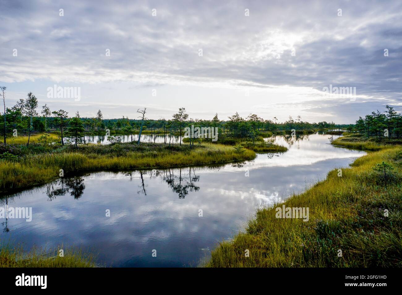 A beautiful bog and marsh landscape with small lakes Stock Photo - Alamy