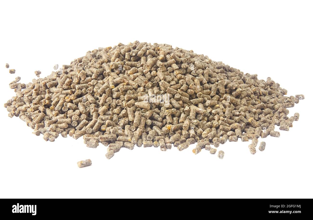 Chicken feed corn not fodder Cut Out Stock Images & Pictures - Alamy