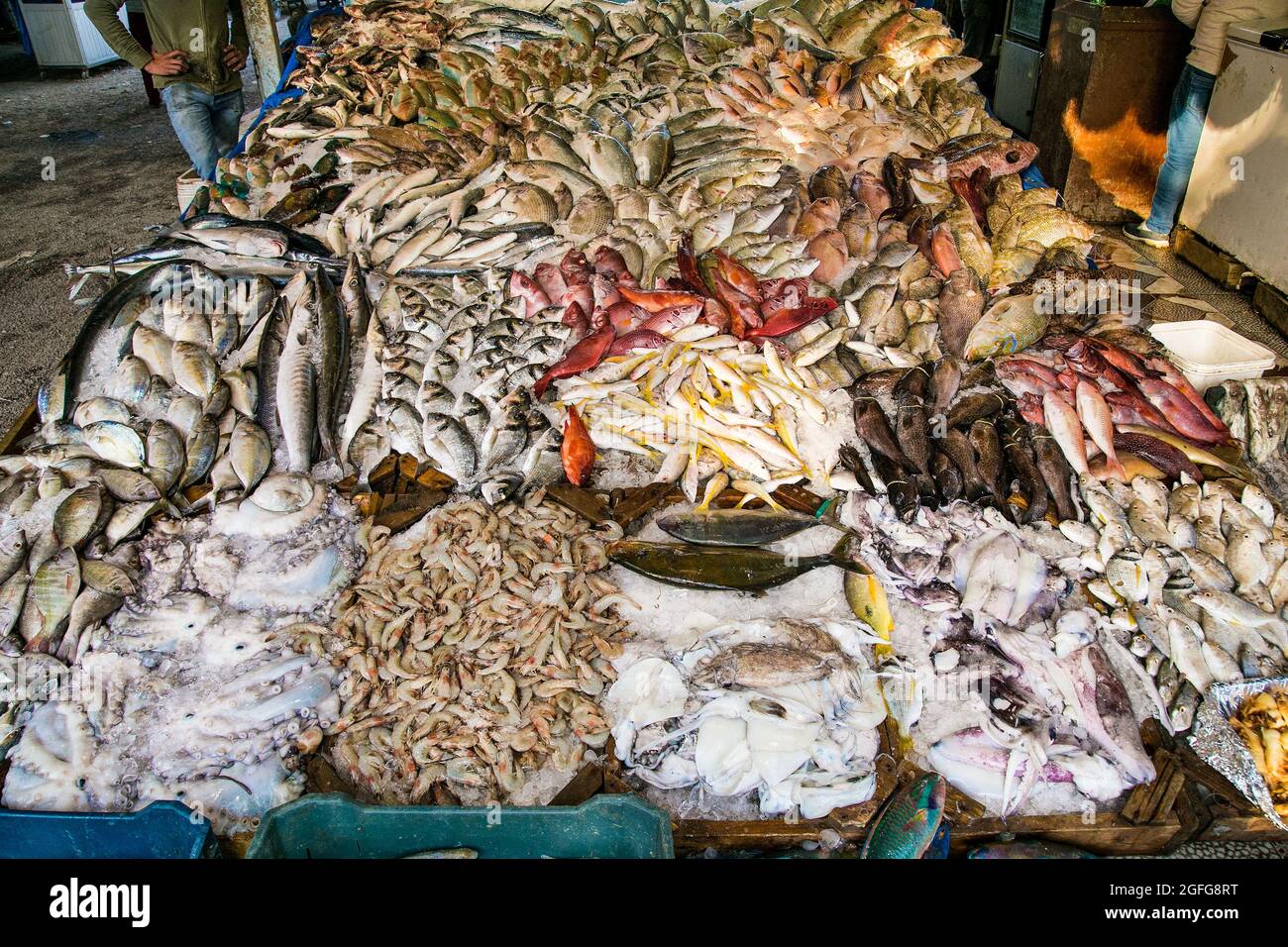 Different fish on open fish market in Hurghada city, Egypt Stock Photo ...