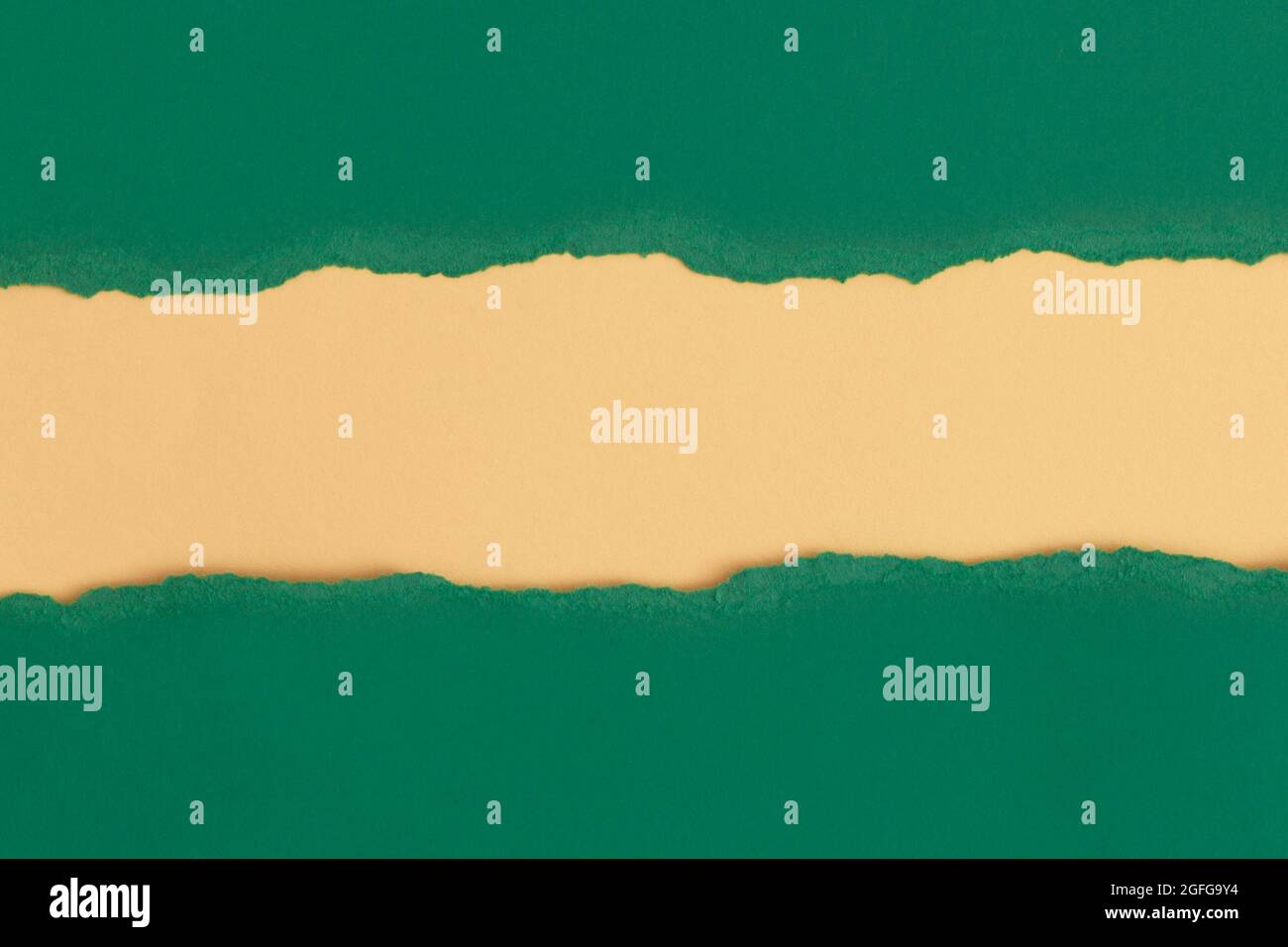 Green torn paper with space for text with yellow background Stock Photo ...