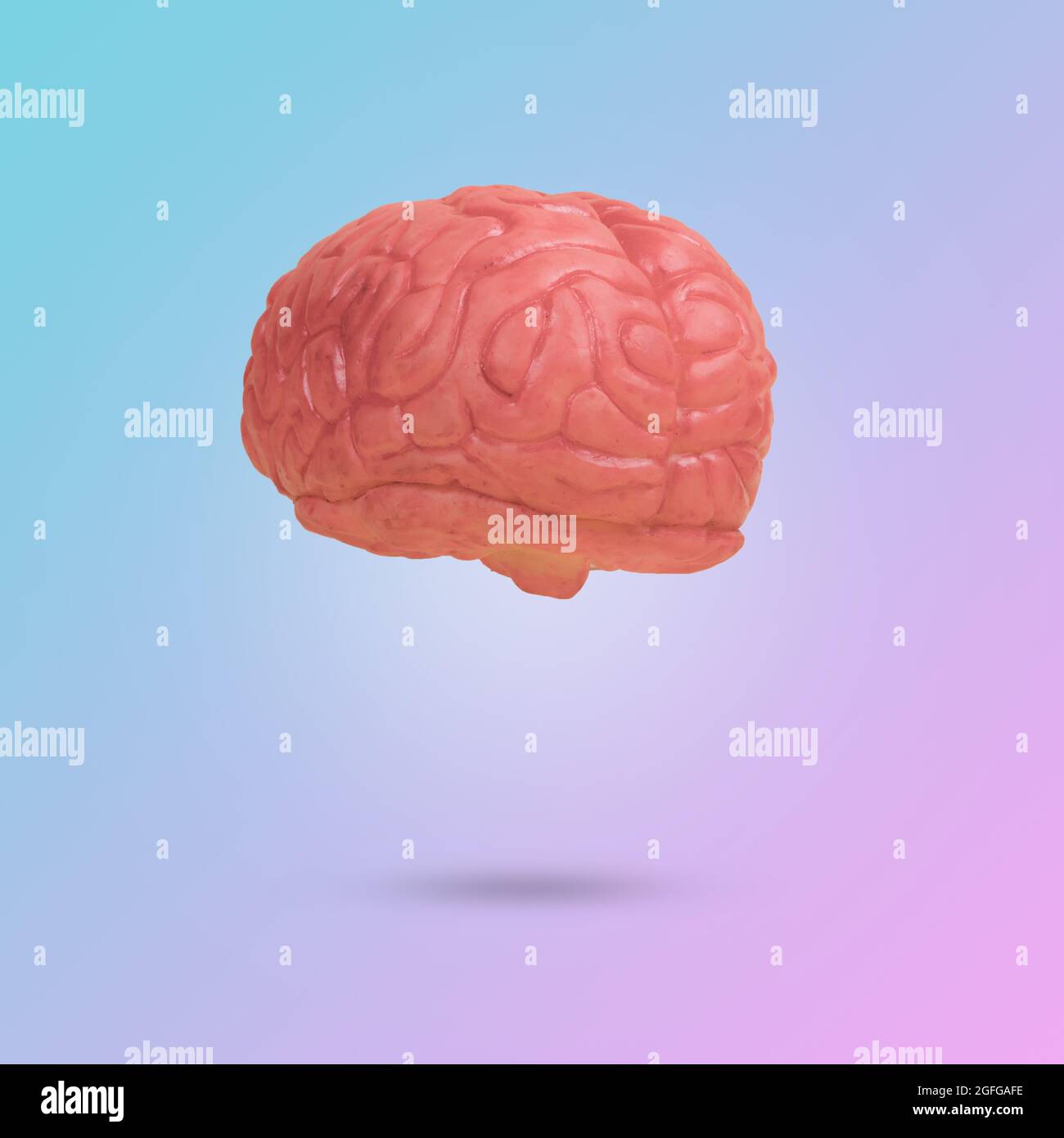Creative minimal scene with a human brain floating in the air on a ...