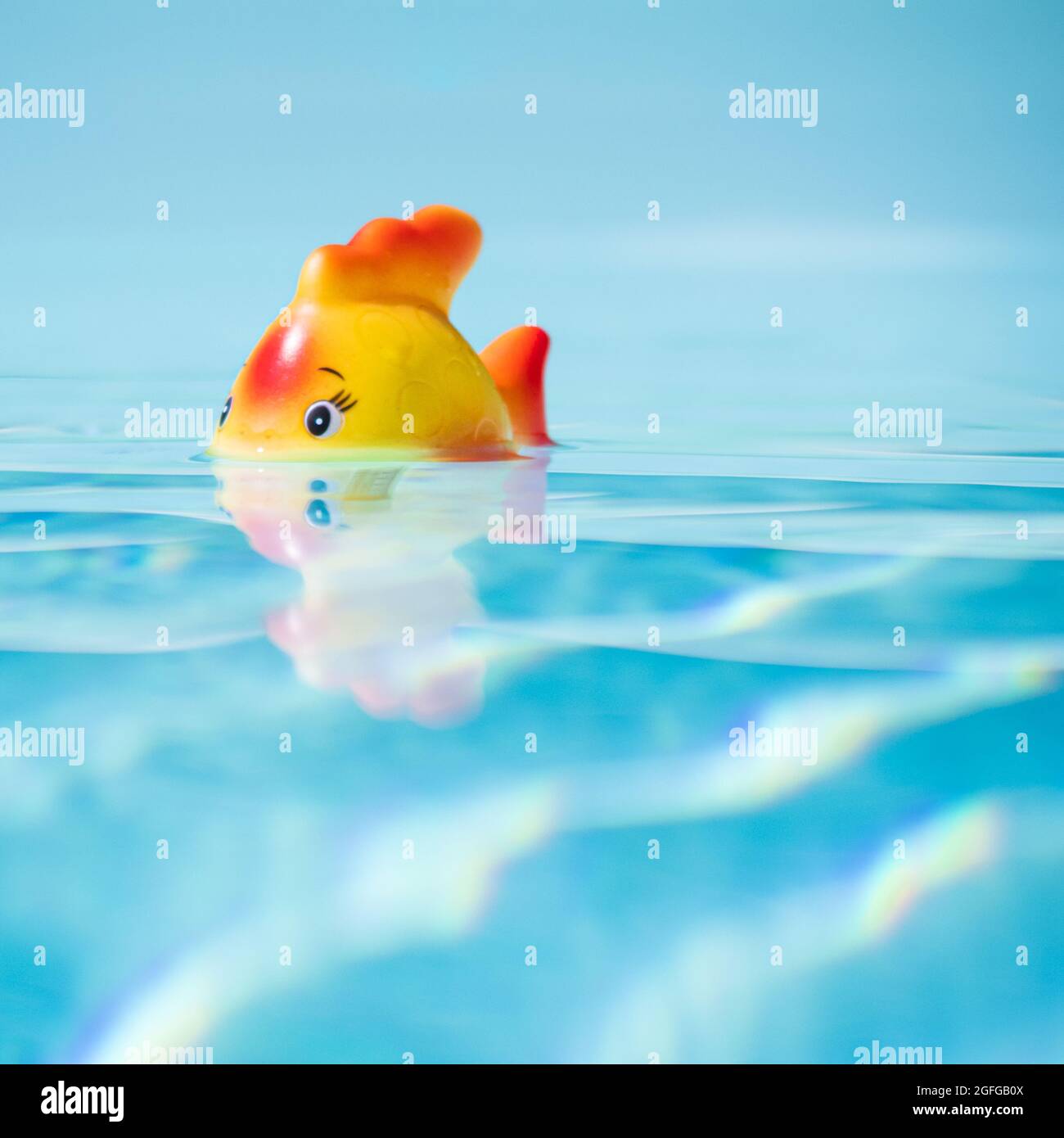 Toy fish taking bath in swimming pool, shallow depth of field Stock ...