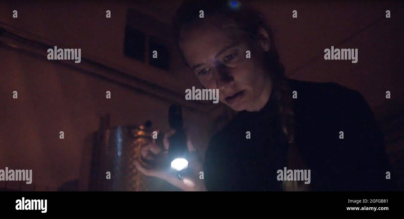 BLURRED VISION, (aka TAGESYN), Ida Caecilie Rasmussen, 2019. © Indican ...