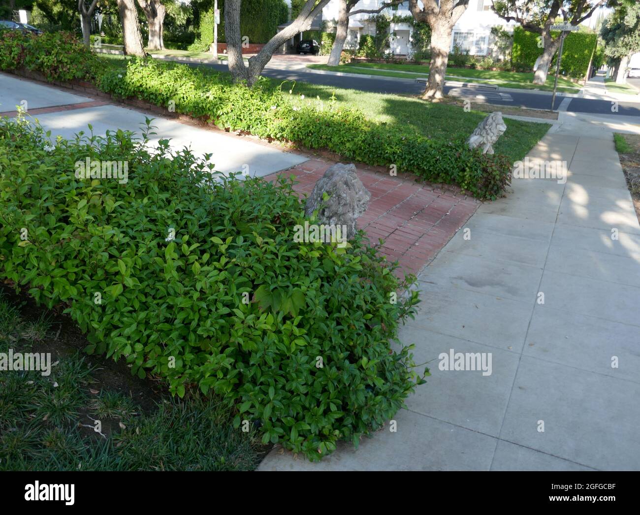 Shaun cassidy and shirley jones hi-res stock photography and images - Alamy