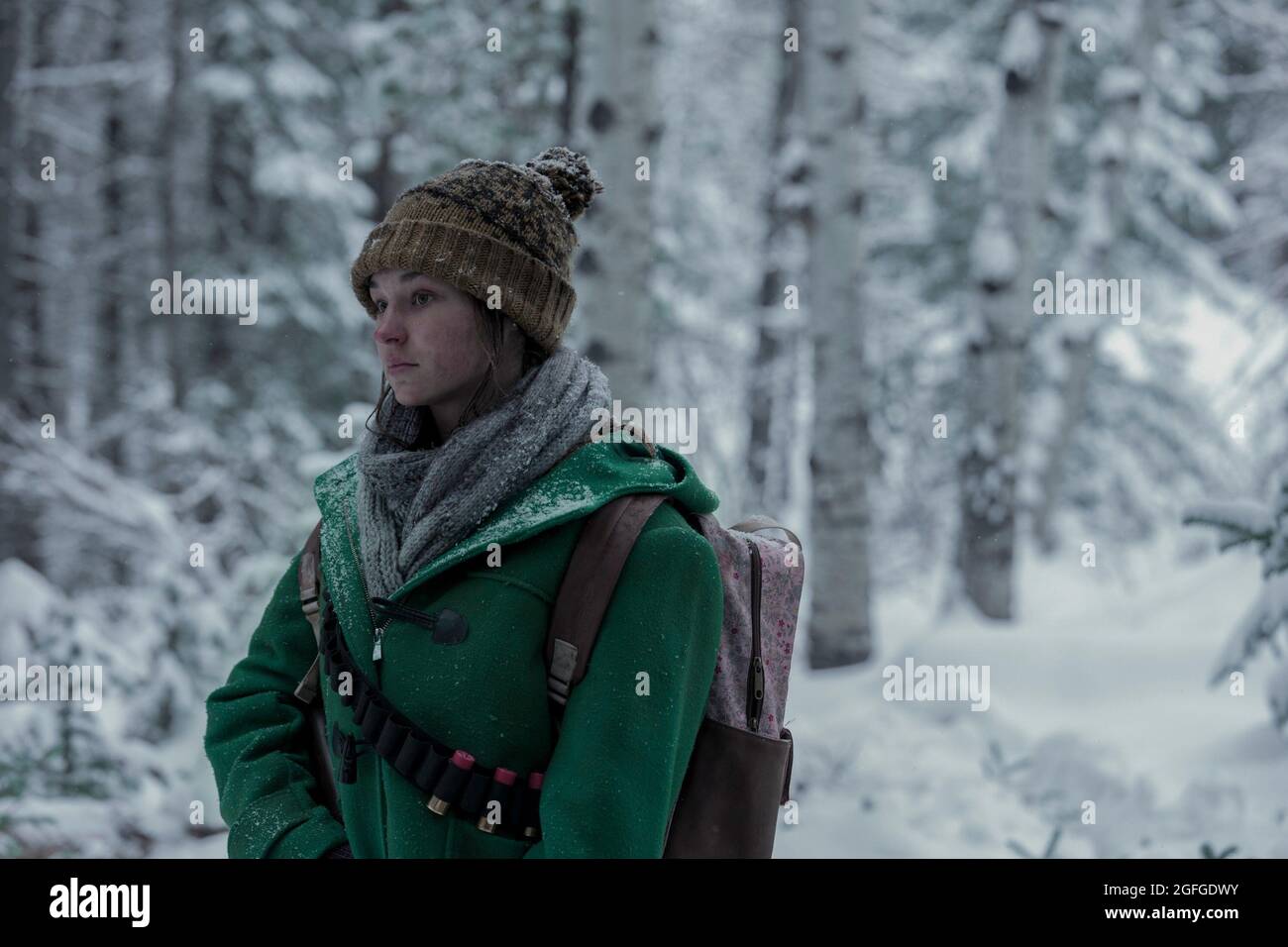 Marlett hi-res stock photography and images - Alamy