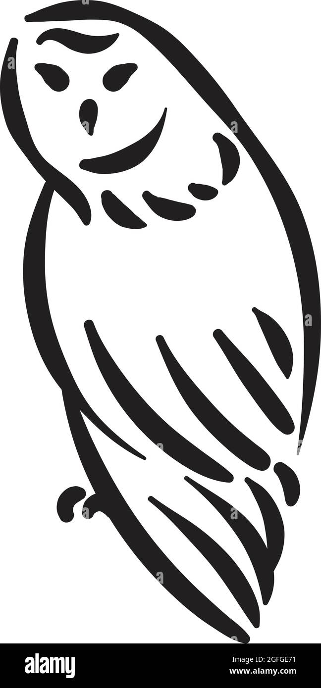 Line style owl bird hand drawn illustration Stock Vector Image & Art ...