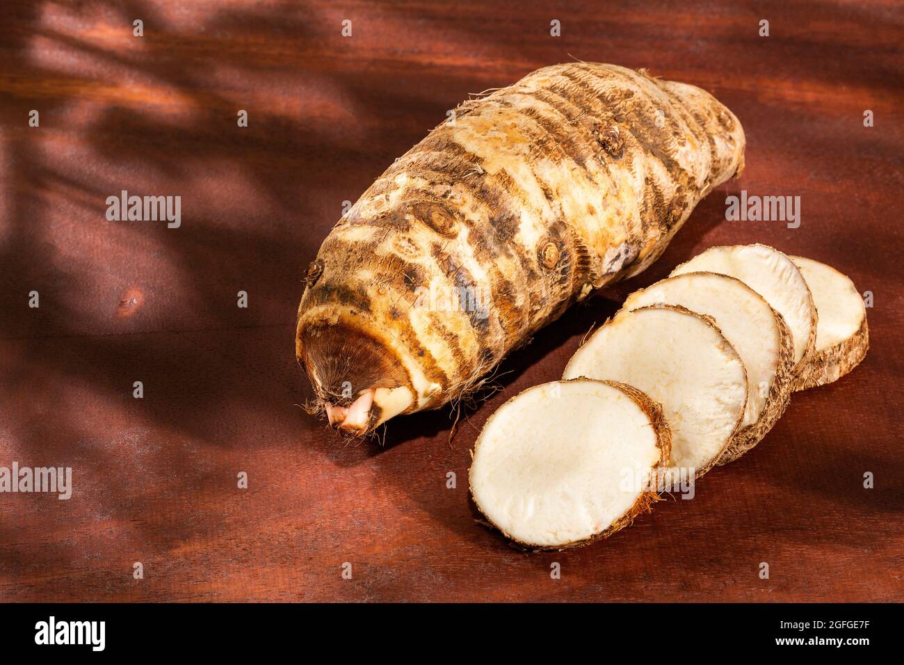 Healthy and organic malanga root - Colocasia esculenta Stock Photo - Alamy