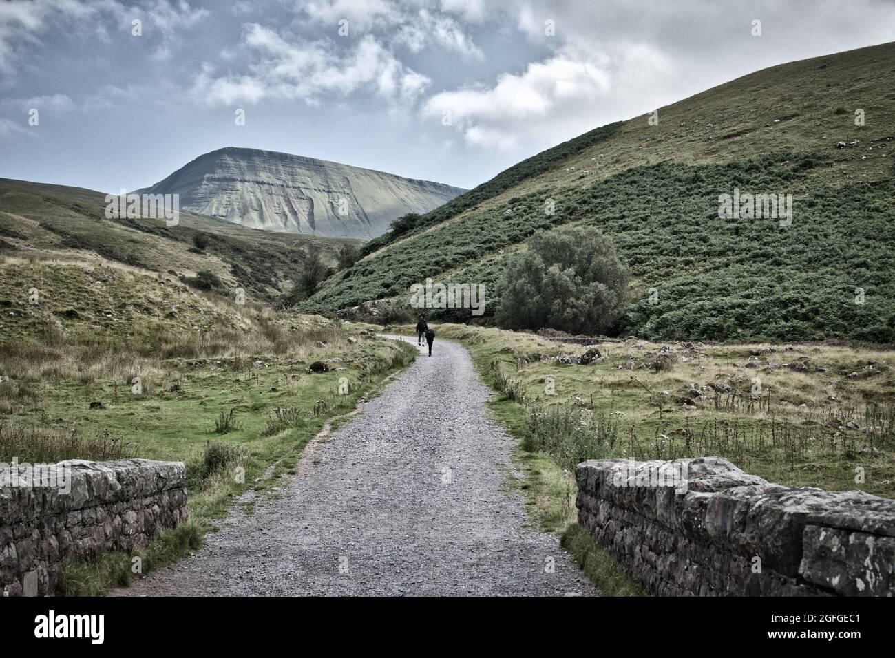 Llyn y Fan Fach in Wales, UK Stock Photo - Alamy