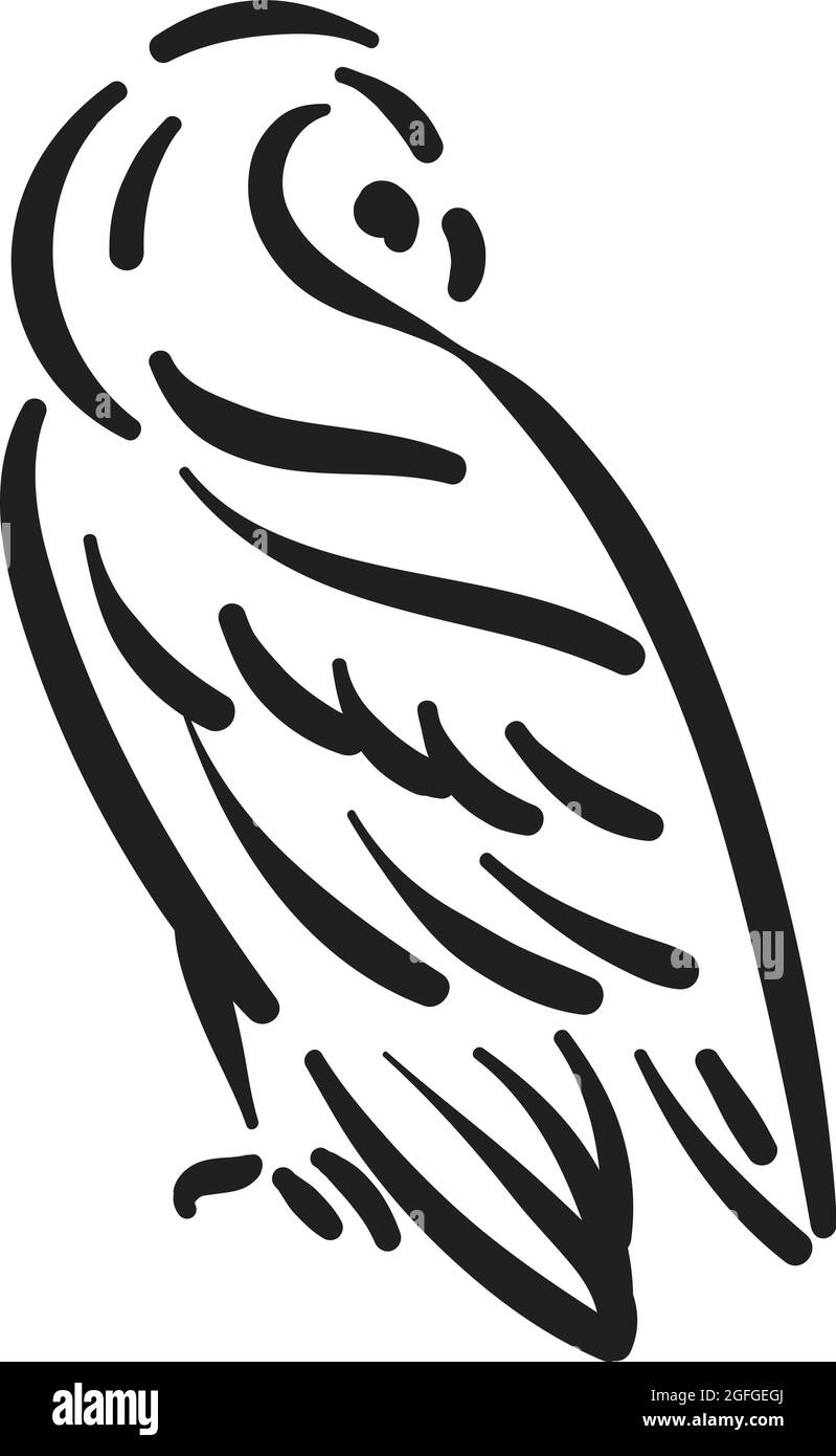 Line style owl bird hand drawn illustration Stock Vector Image & Art ...