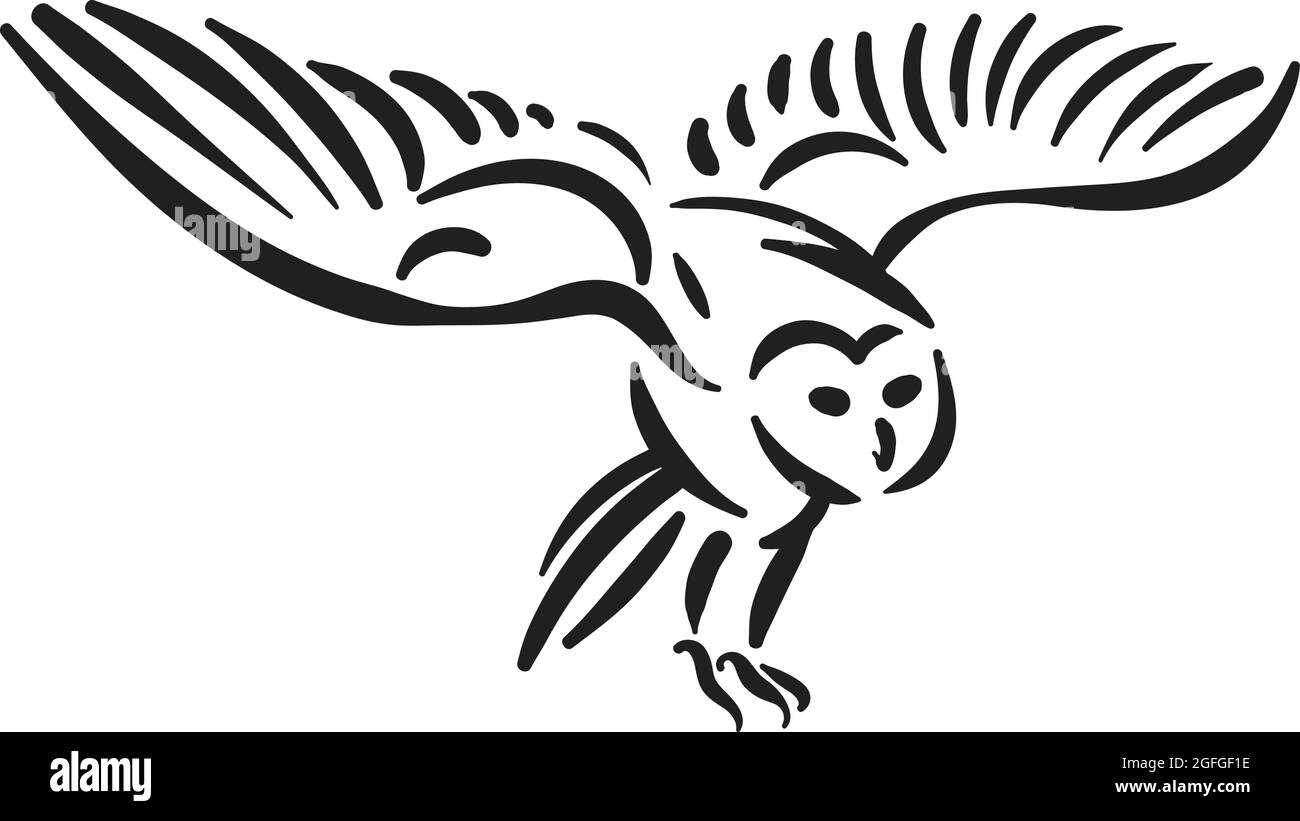 Line style owl bird hand drawn illustration Stock Vector Image & Art ...