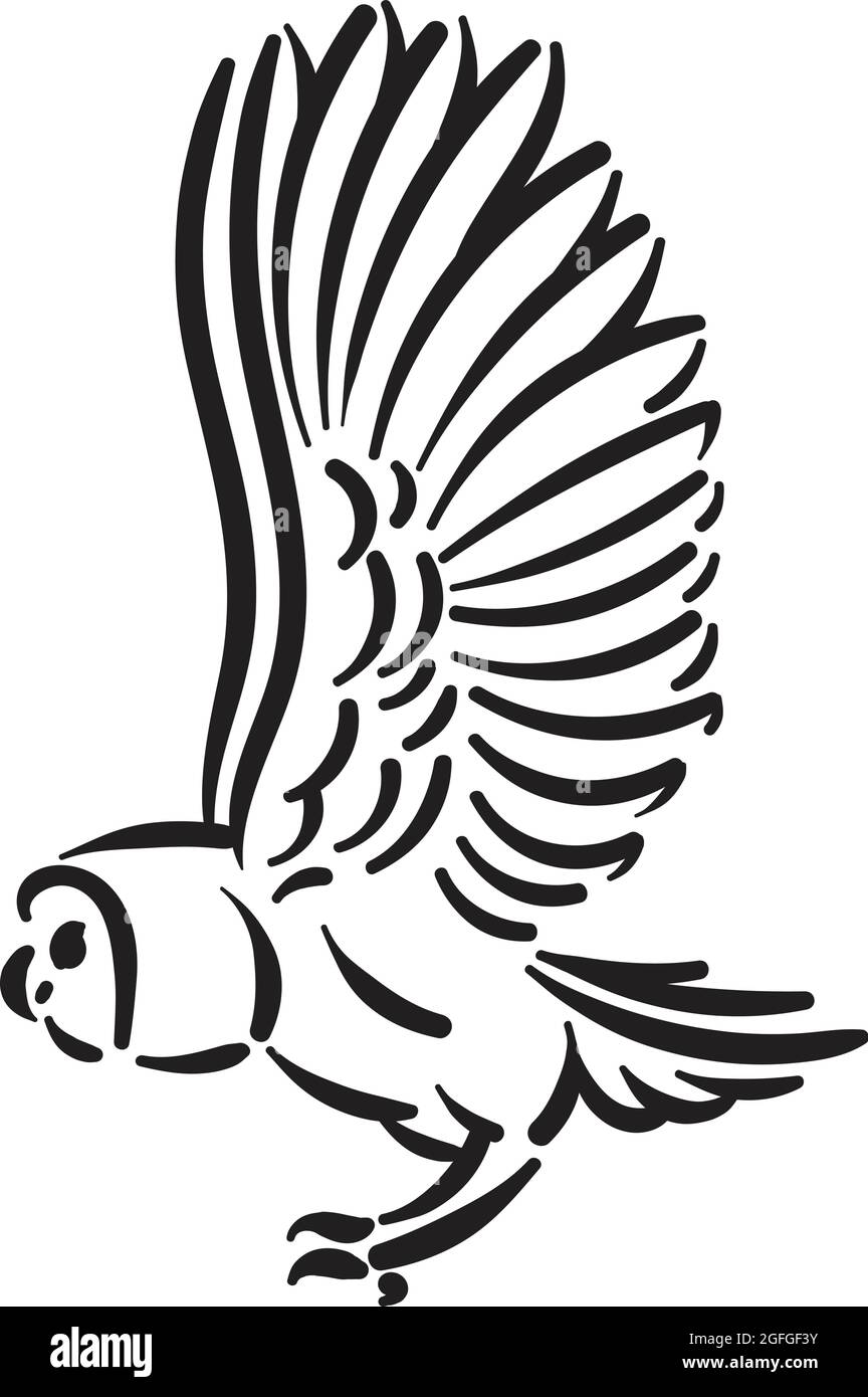 Line style owl bird hand drawn illustration Stock Vector Image & Art ...