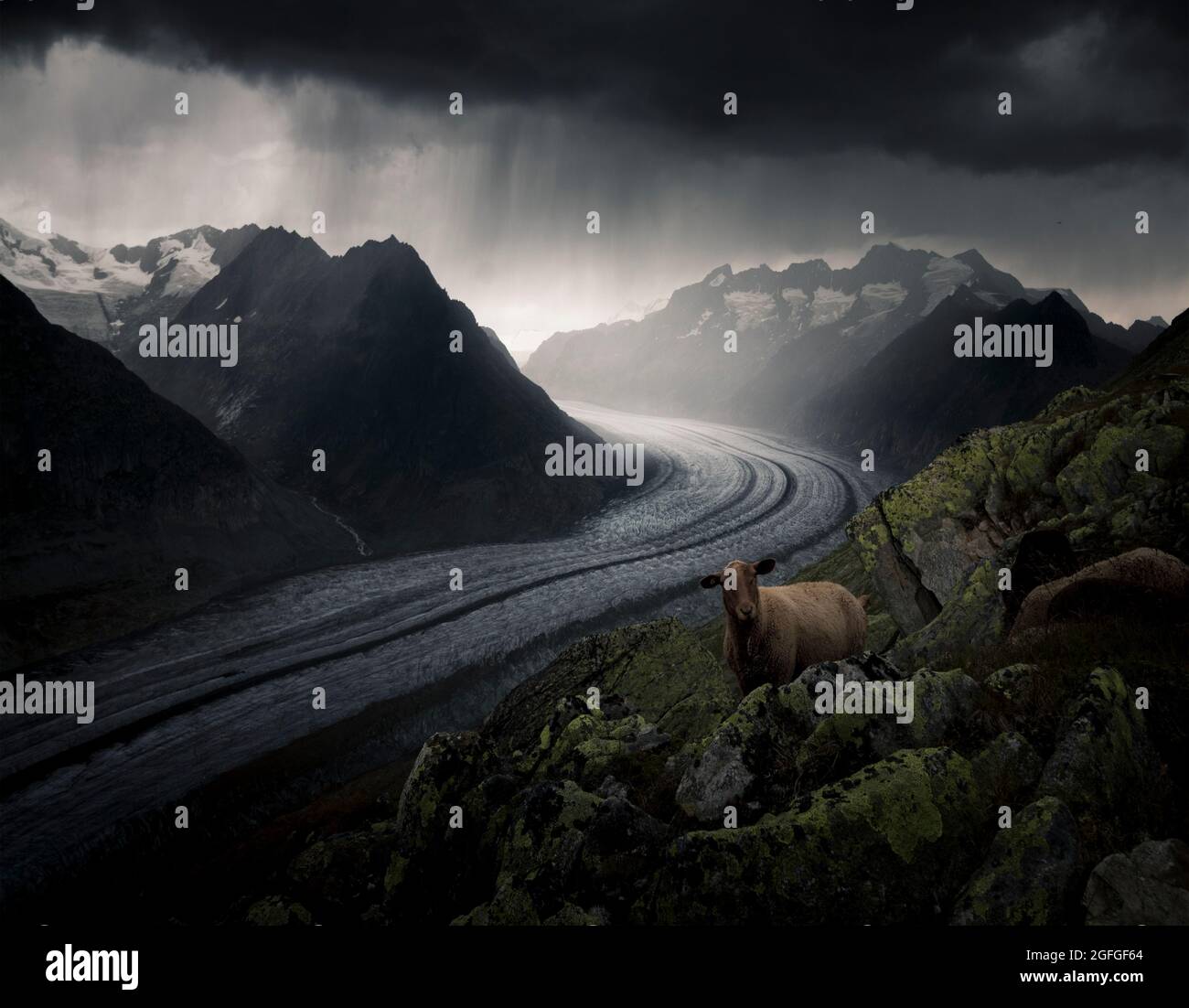 Epic sheep hi-res stock photography and images - Alamy