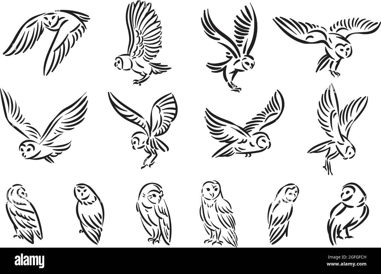 Line style owl bird hand drawn illustration set Stock Vector Image ...