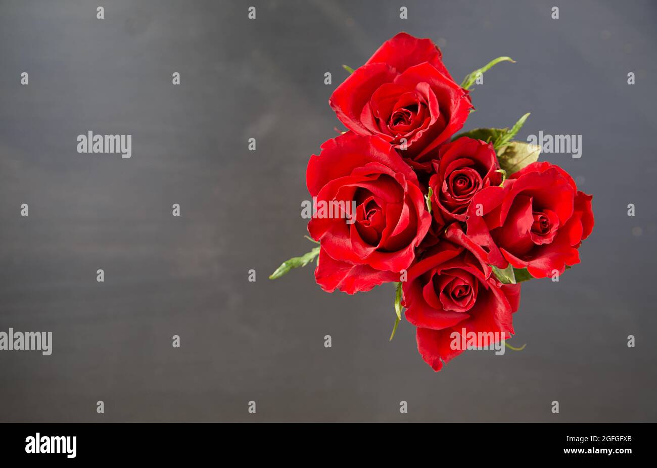 Fresh red roses bouquet. Dark background Stock Photo - Alamy