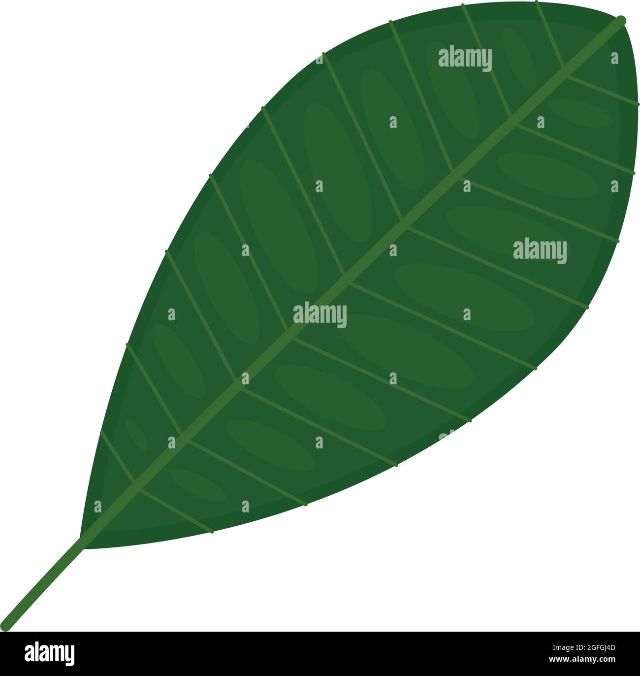 round leaf icon on white background Stock Vector Image & Art - Alamy