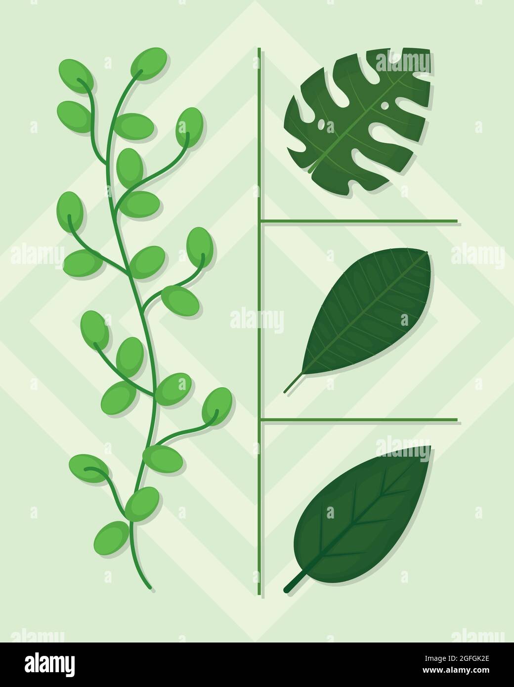 tropical leaves icon set design Stock Vector Image & Art - Alamy