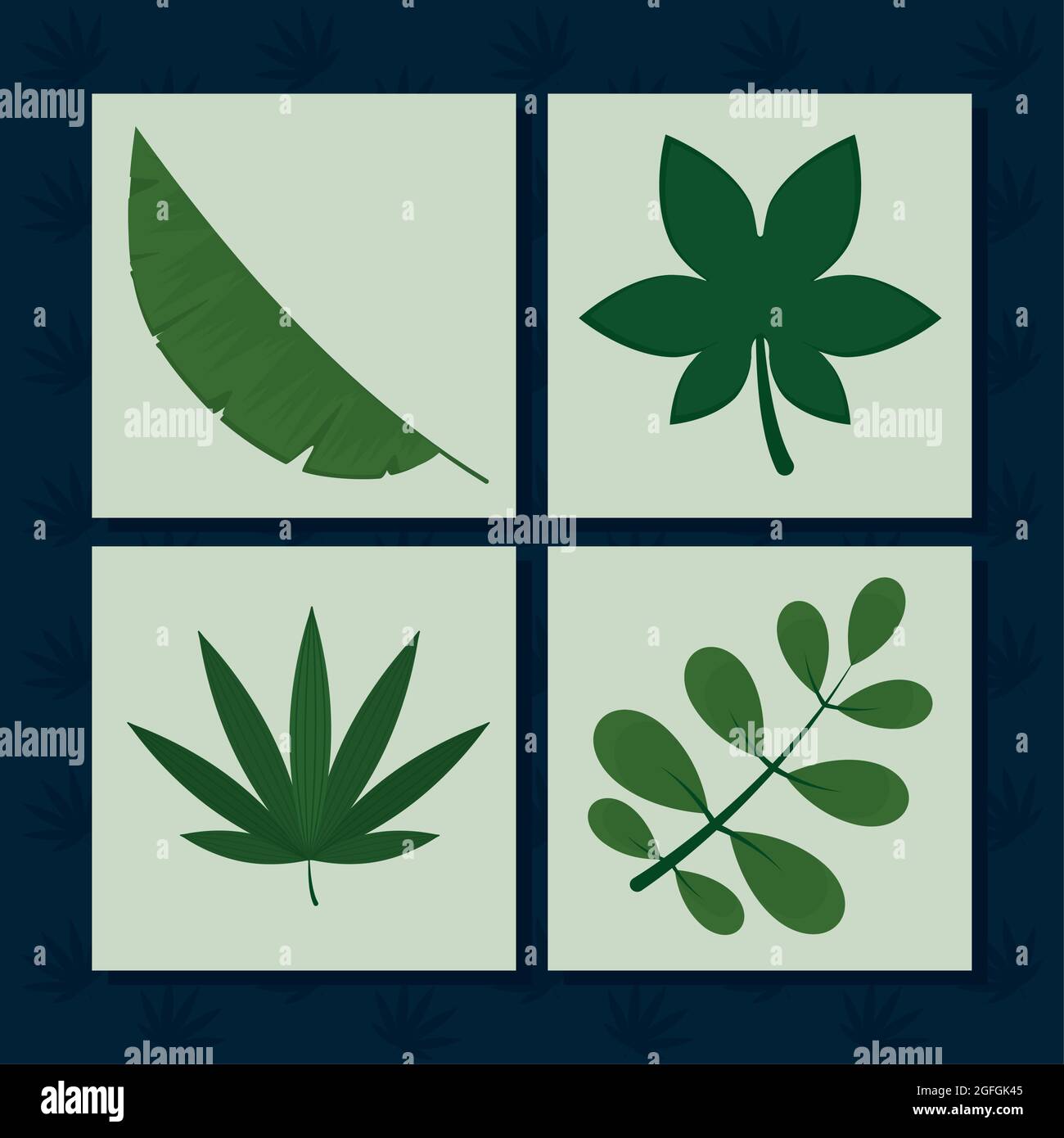 green leaves icon set design Stock Vector Image & Art - Alamy