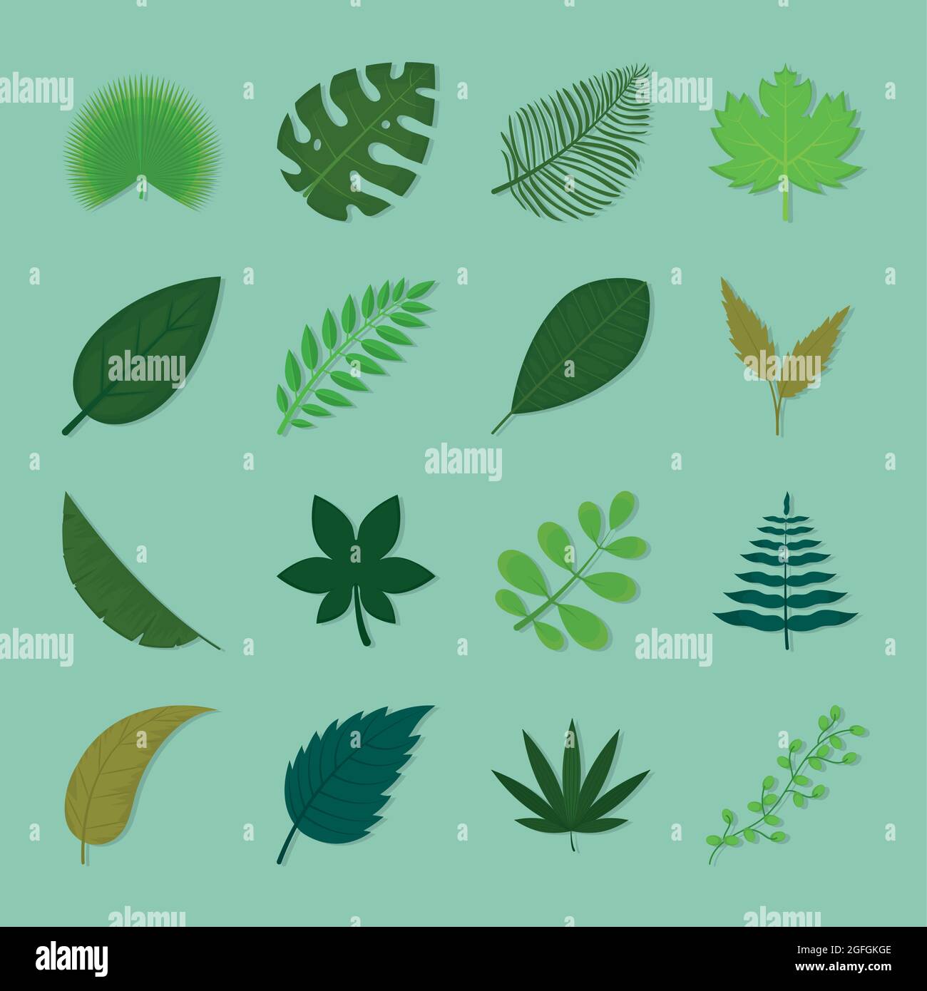 tropical leaves icon collection design Stock Vector Image & Art - Alamy