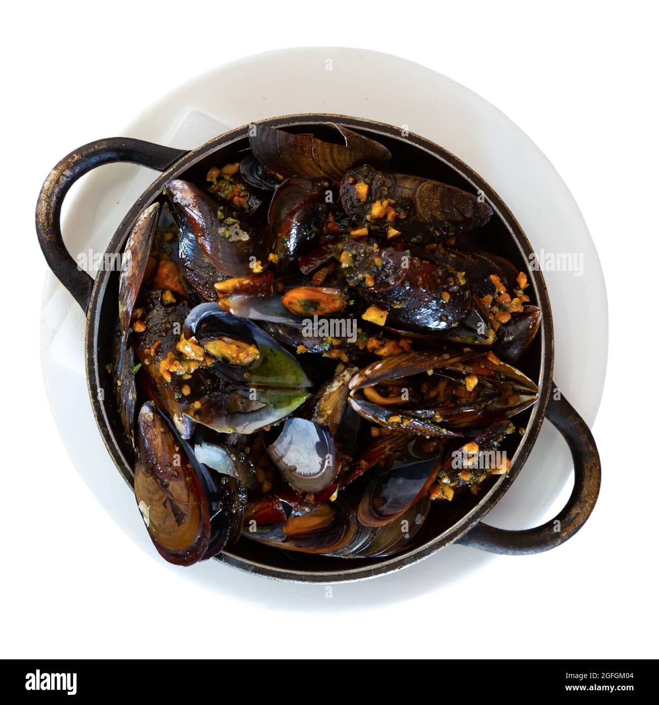 Mollusc dish Cut Out Stock Images & Pictures - Alamy