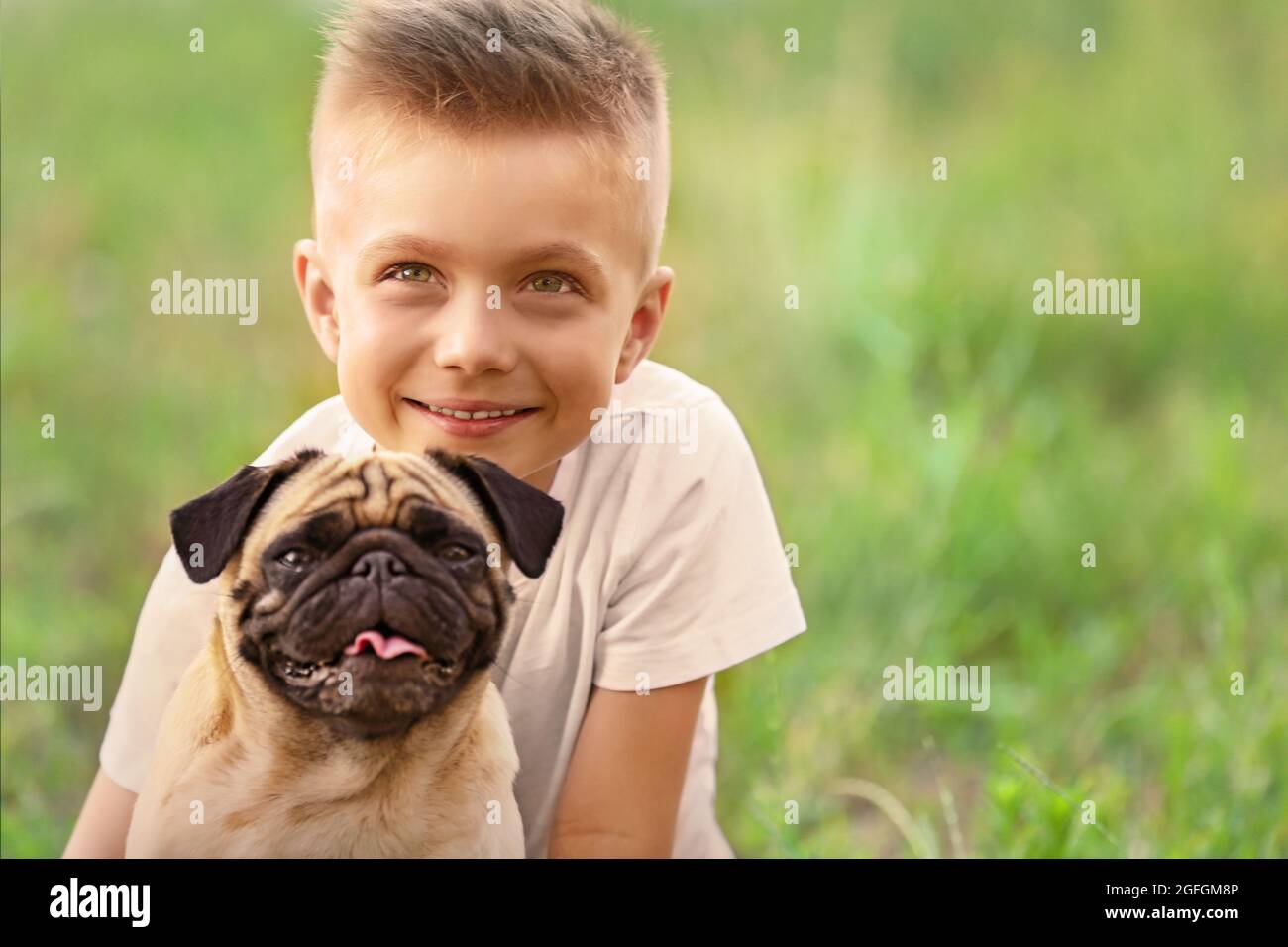 Cute boy with pug dog on green grass Stock Photo - Alamy