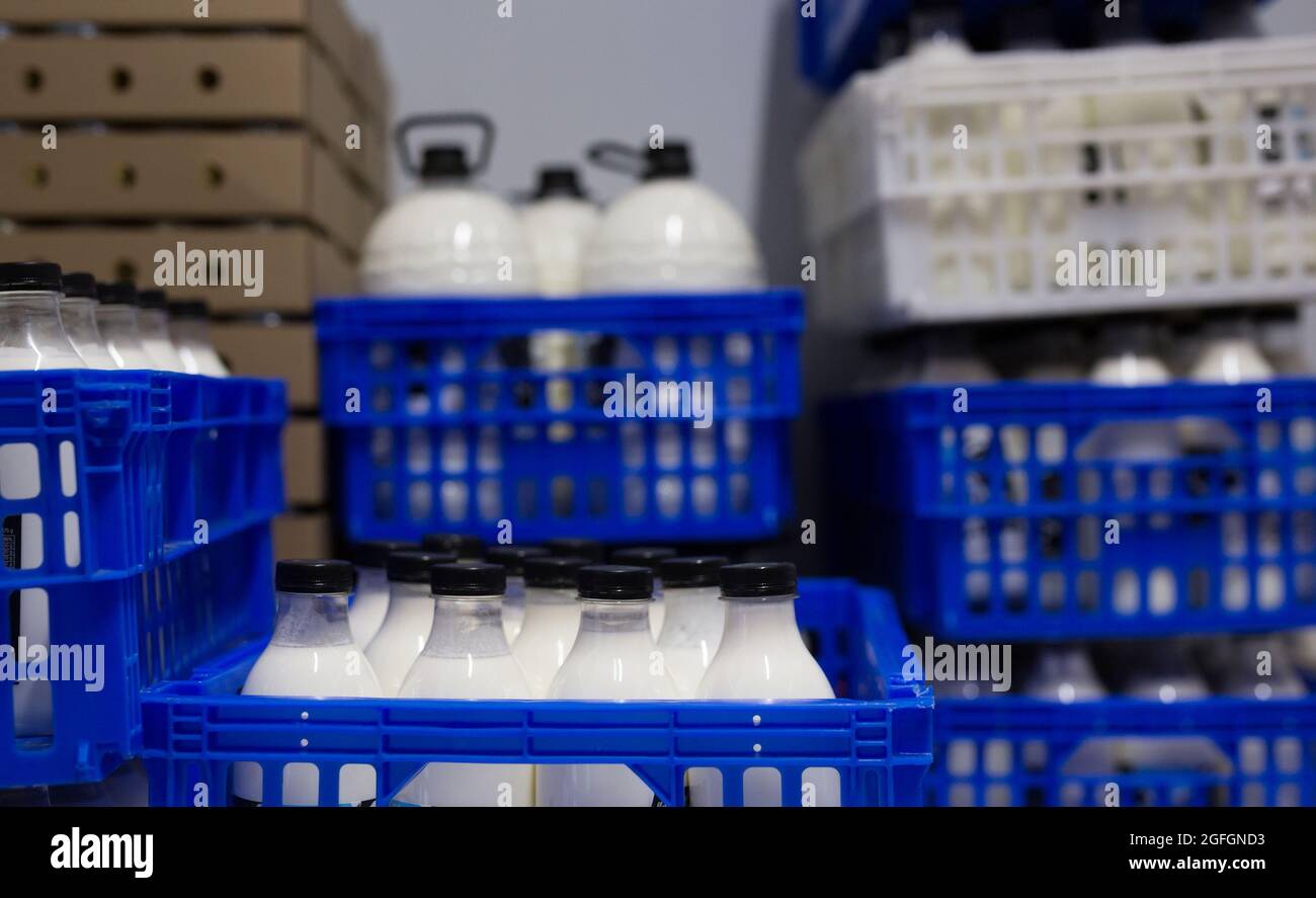 Image of crates of fresh cow's milk Stock Photo - Alamy
