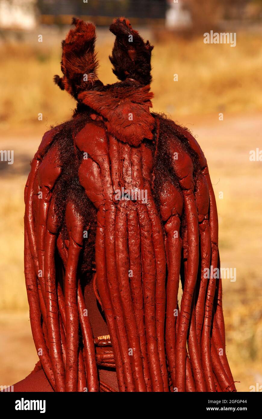 Himba woman with traditional hair style at Outjo town, Namibia Stock ...