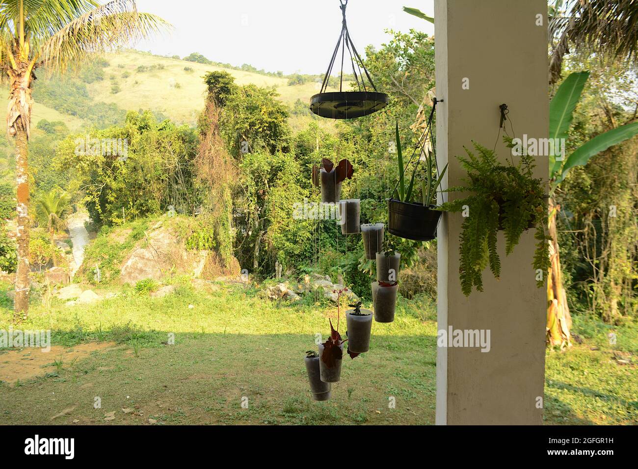 backyard of a farm house - Brazilian - ecological plant pot Stock Photo ...