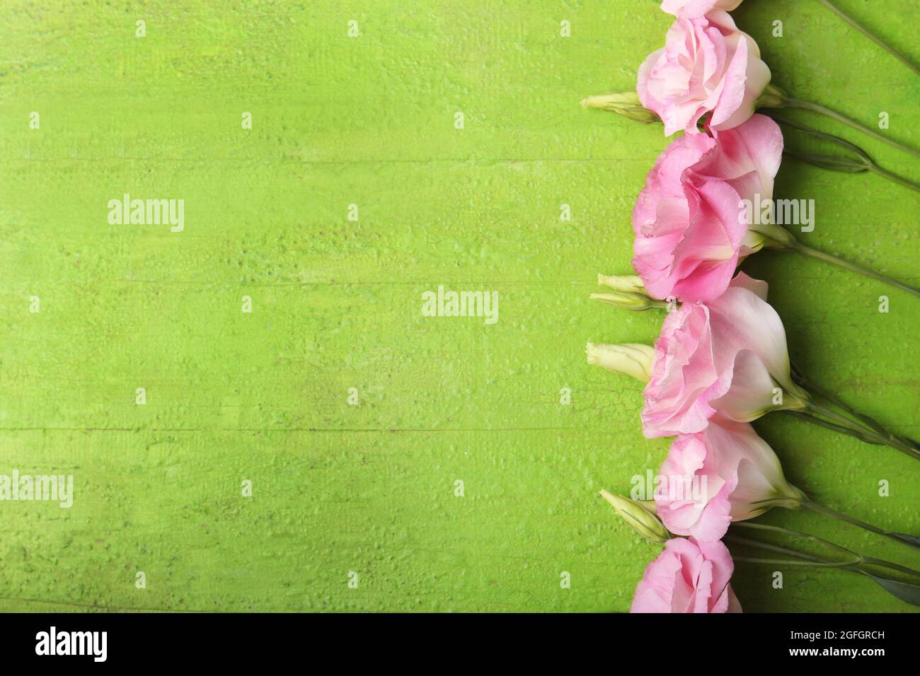 Fresh pink flowers frame on green background Stock Photo - Alamy