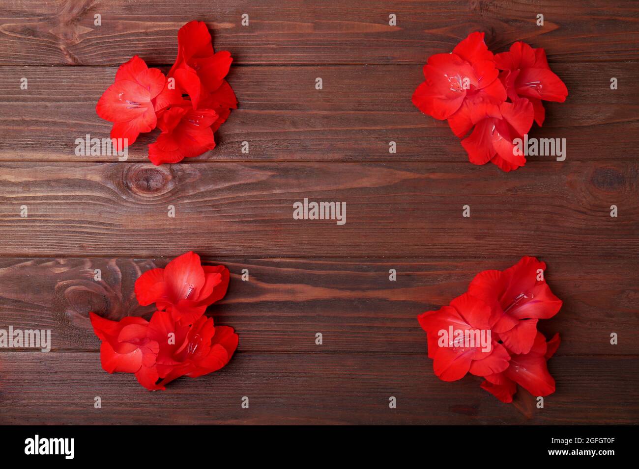 Fresh red flowers frame on wooden background Stock Photo - Alamy