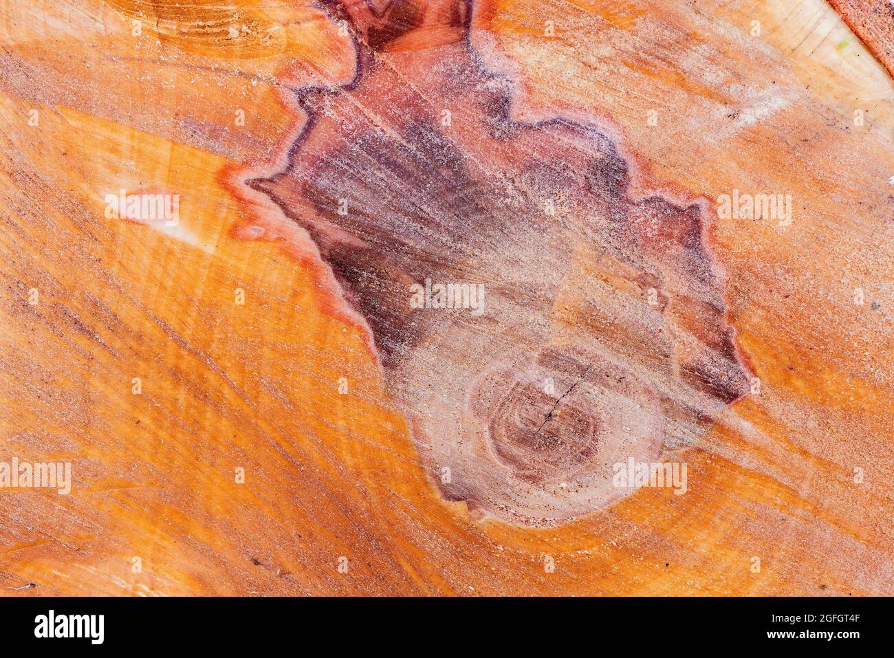 Slice of wood timber natural background Stock Photo - Alamy