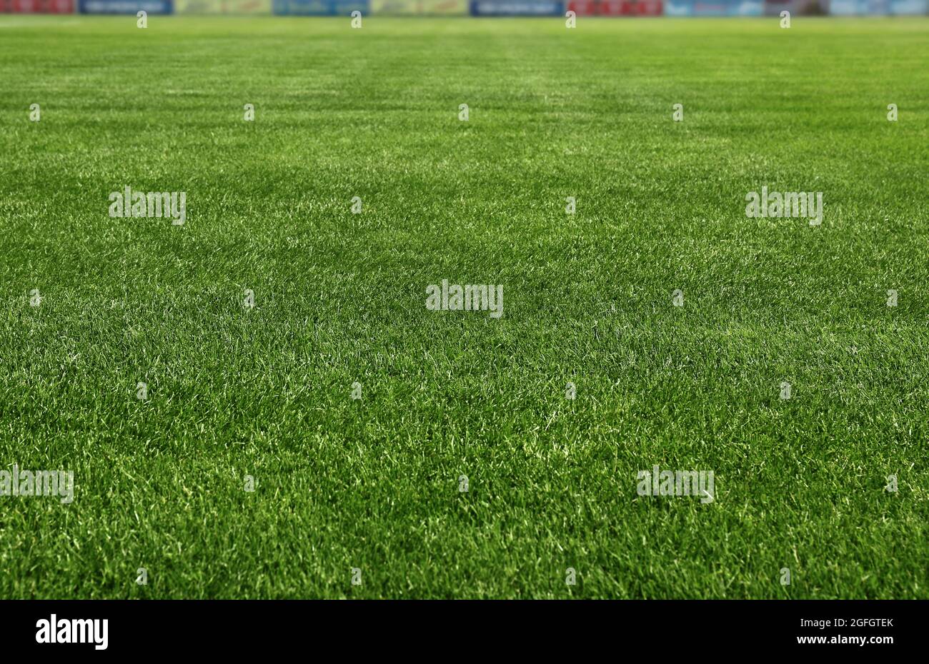 Green field for sport games Stock Photo - Alamy
