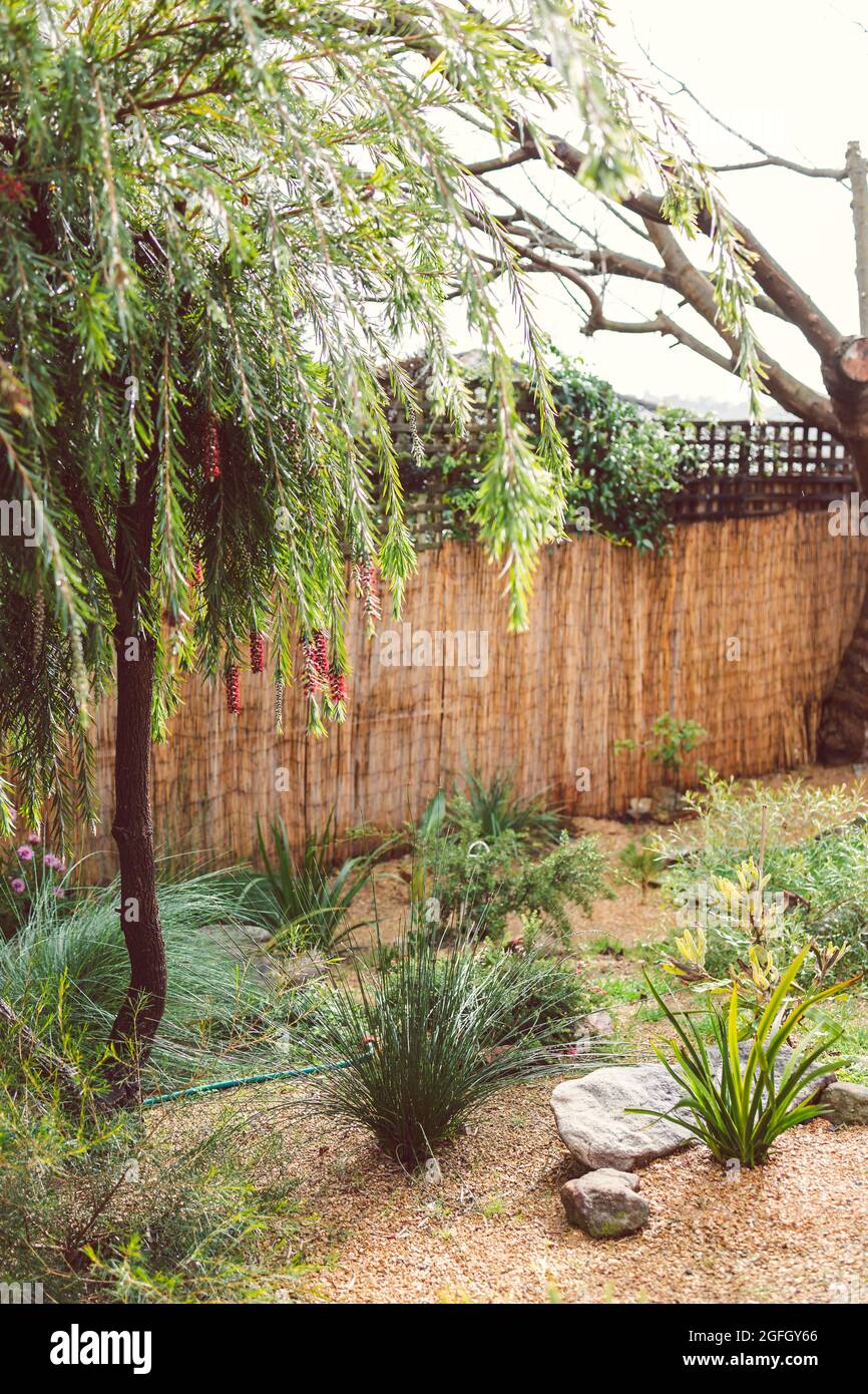 idyllic backyard with Australian native plants and trees with cosy ...