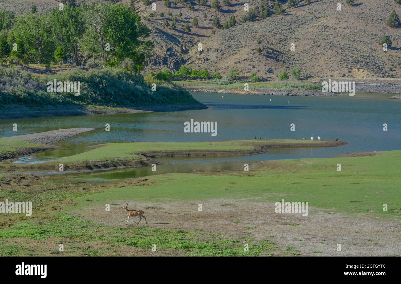 Unity Lake State Park in the high desert wilderness of Baker City ...