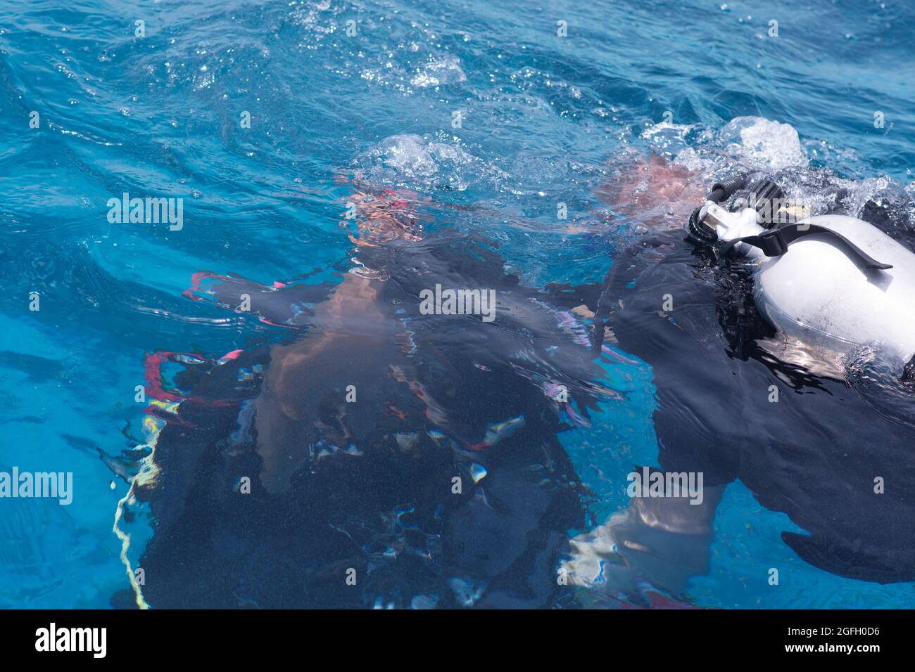 two people in scuba diving suits are swimming under the water Stock ...