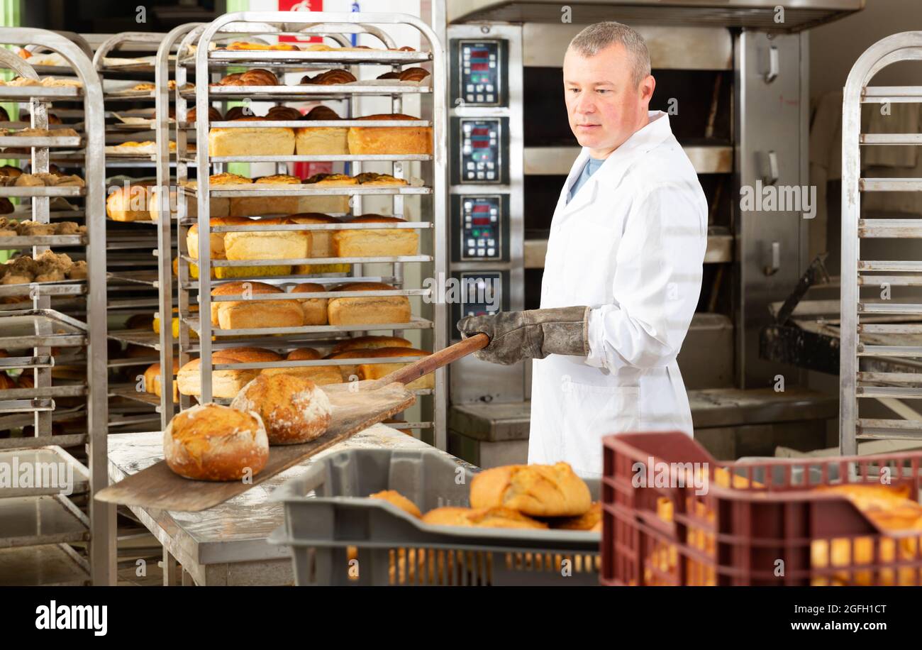 Usual work of baker in a bakery Stock Photo - Alamy