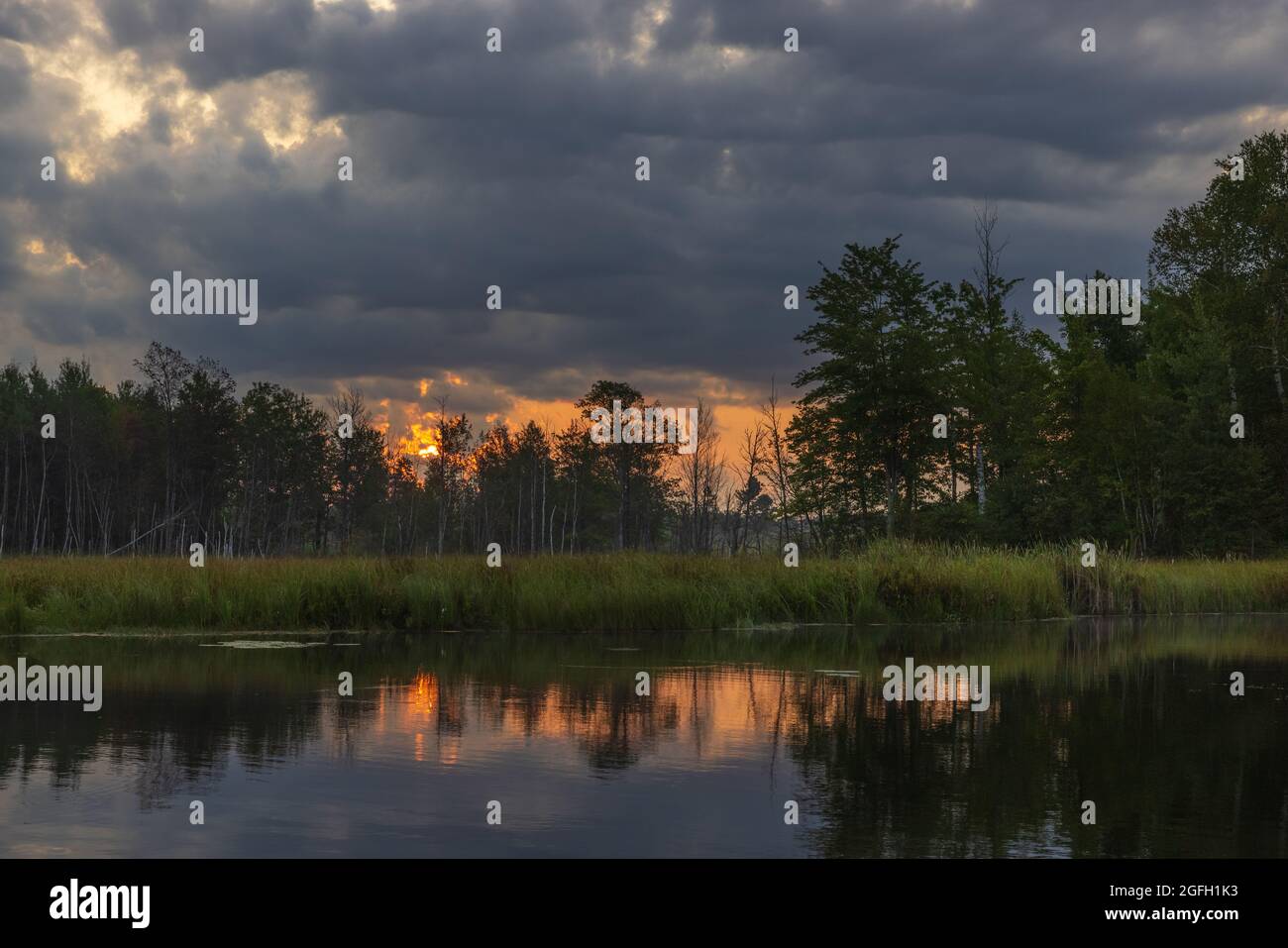 Sunrise on a wilderness wetland in northern Wisconsin Stock Photo - Alamy