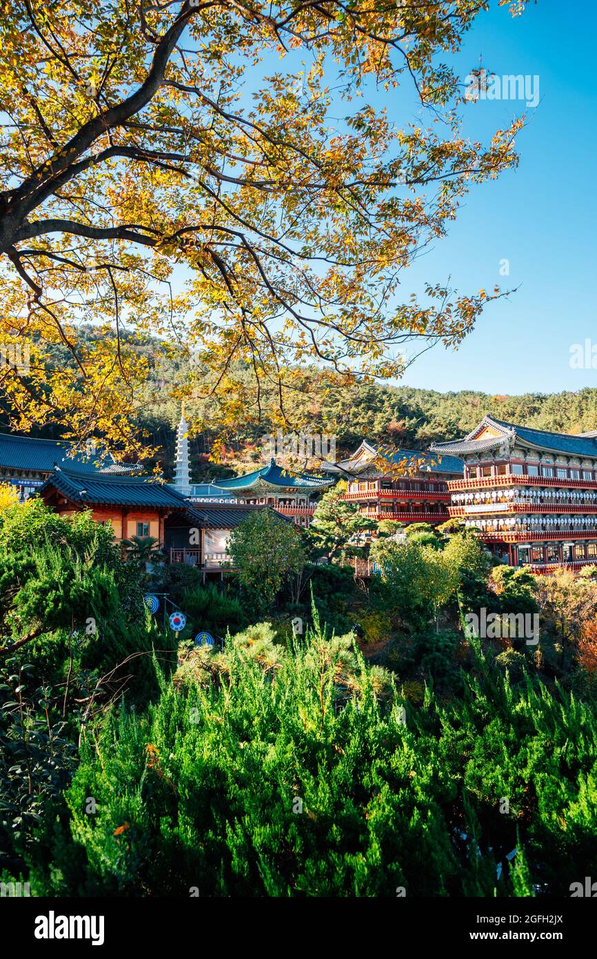 Samgwangsa Temple in Busan, Korea Stock Photo - Alamy