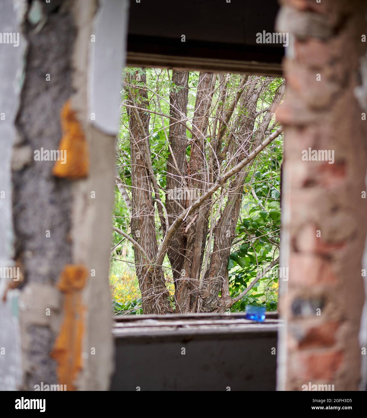 view from the window of a collapsed house Stock Photo - Alamy