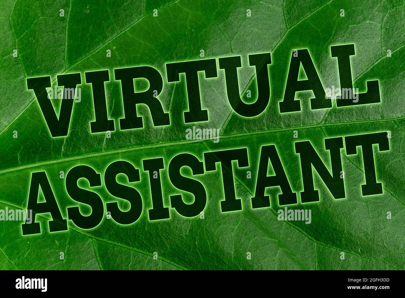 Hand writing sign Virtual Assistant. Concept meaning person who ...
