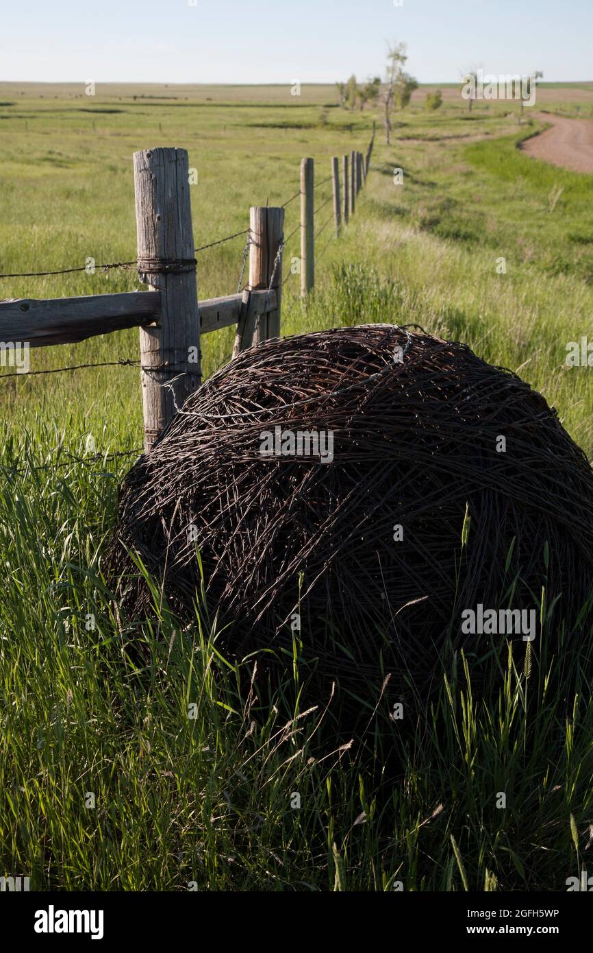 Alexander the Great would need more than a sword to undo this large ...