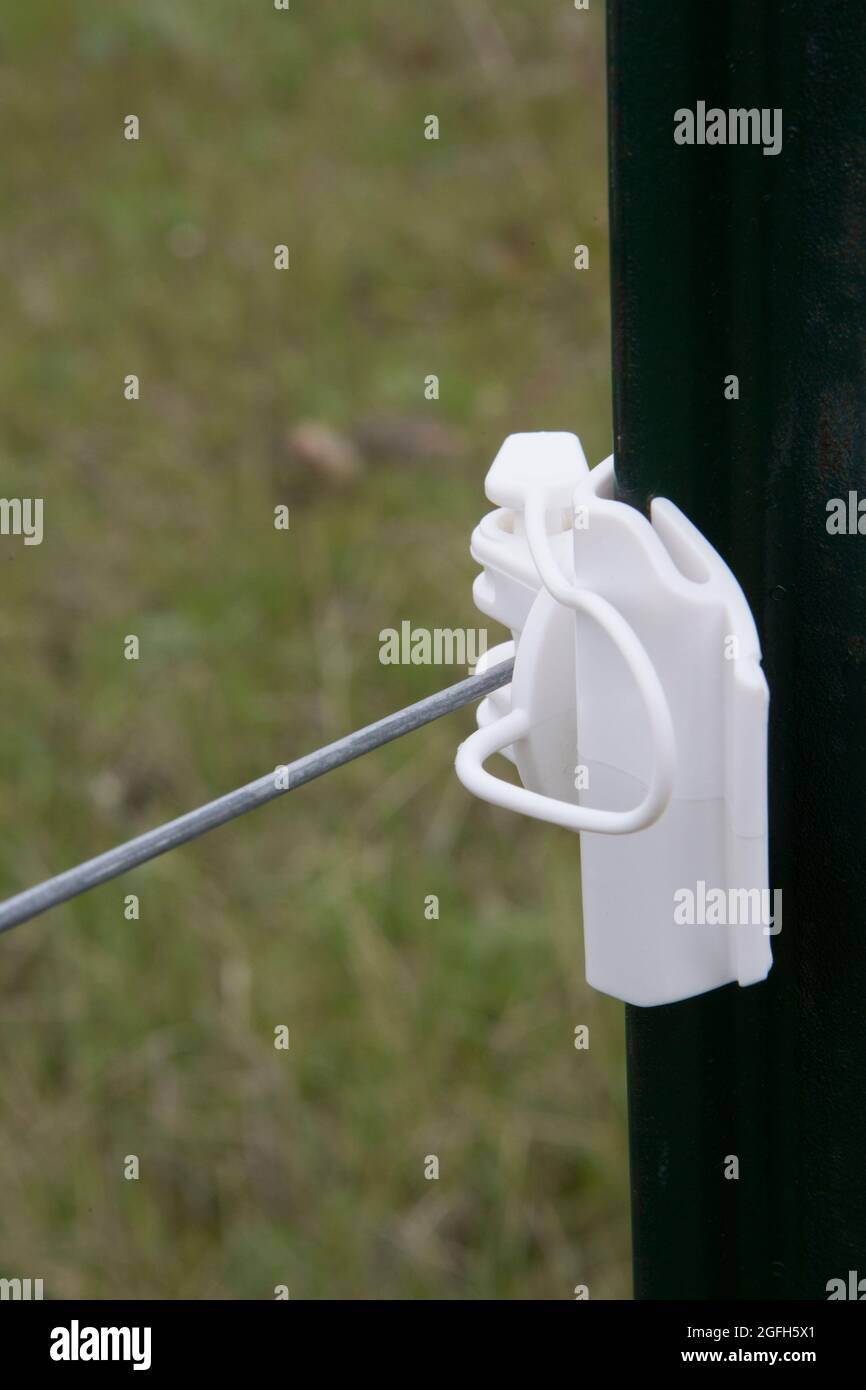 A high-voltage electric fence wire helps keep bison in at the American ...
