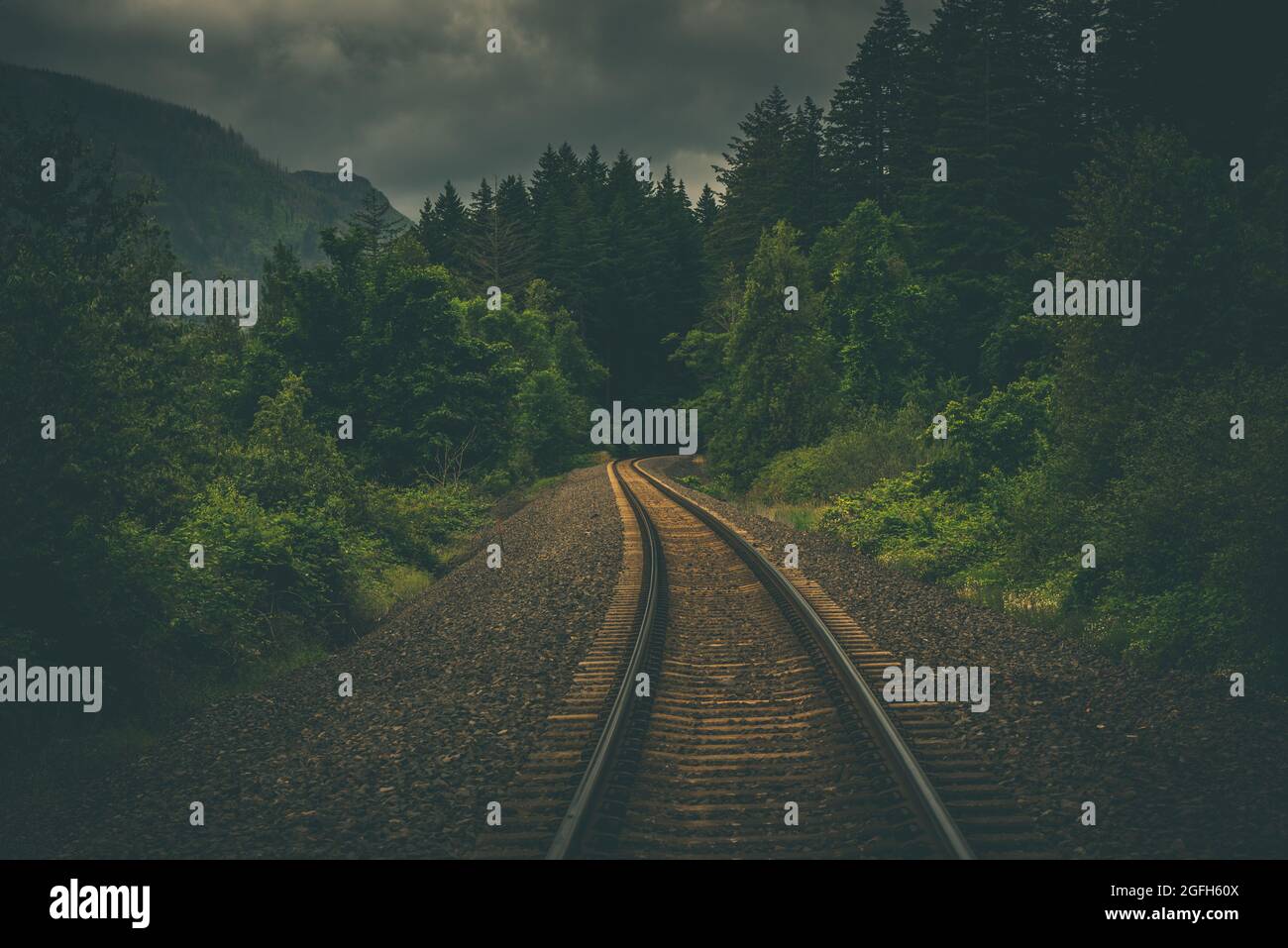 Train tracks through dark and moody dramatic mountainous forest ...