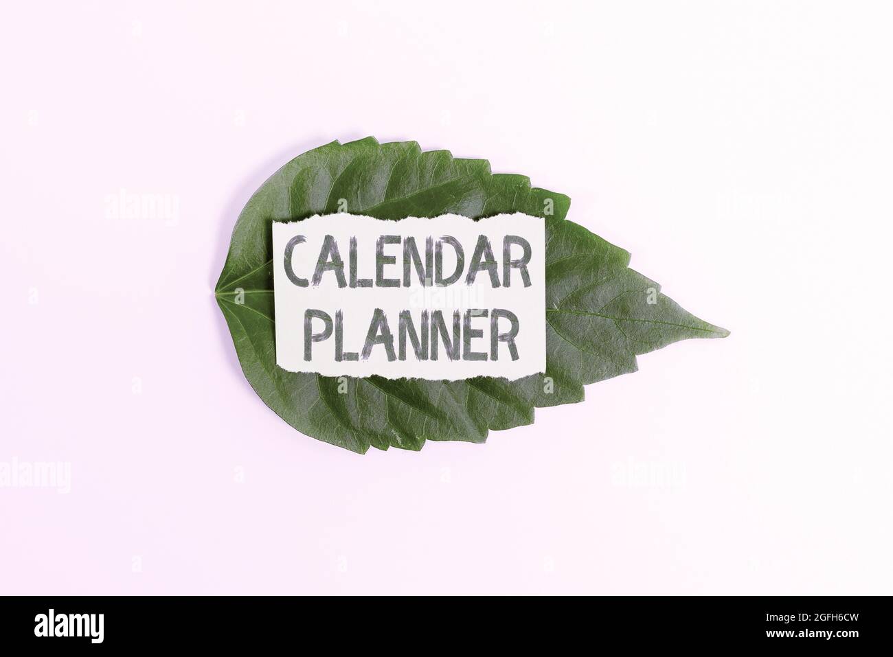 Text caption presenting Calendar Planner. Word Written on schedule of ...