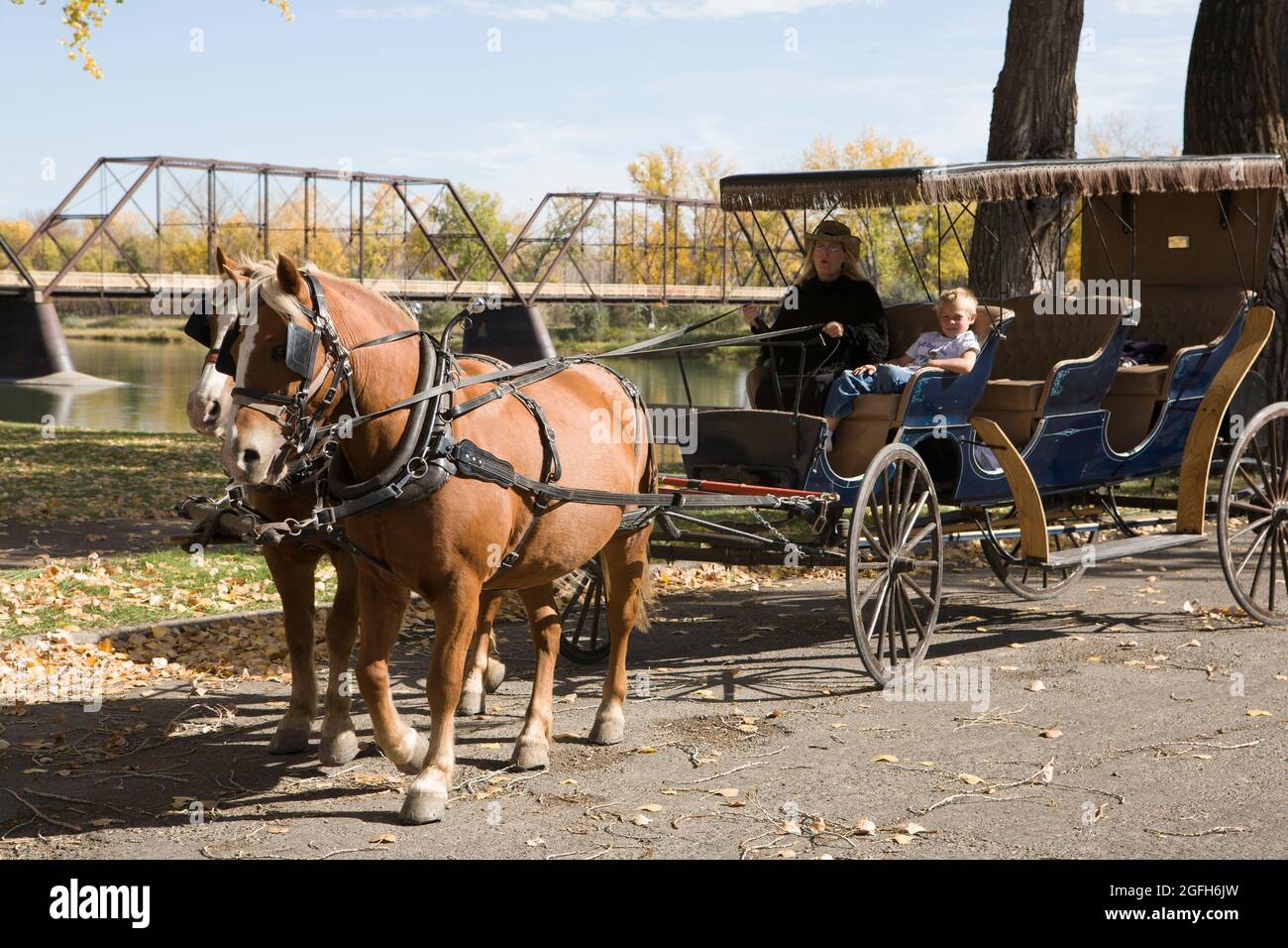 Carriage rides along the levee and through town are available in a ...